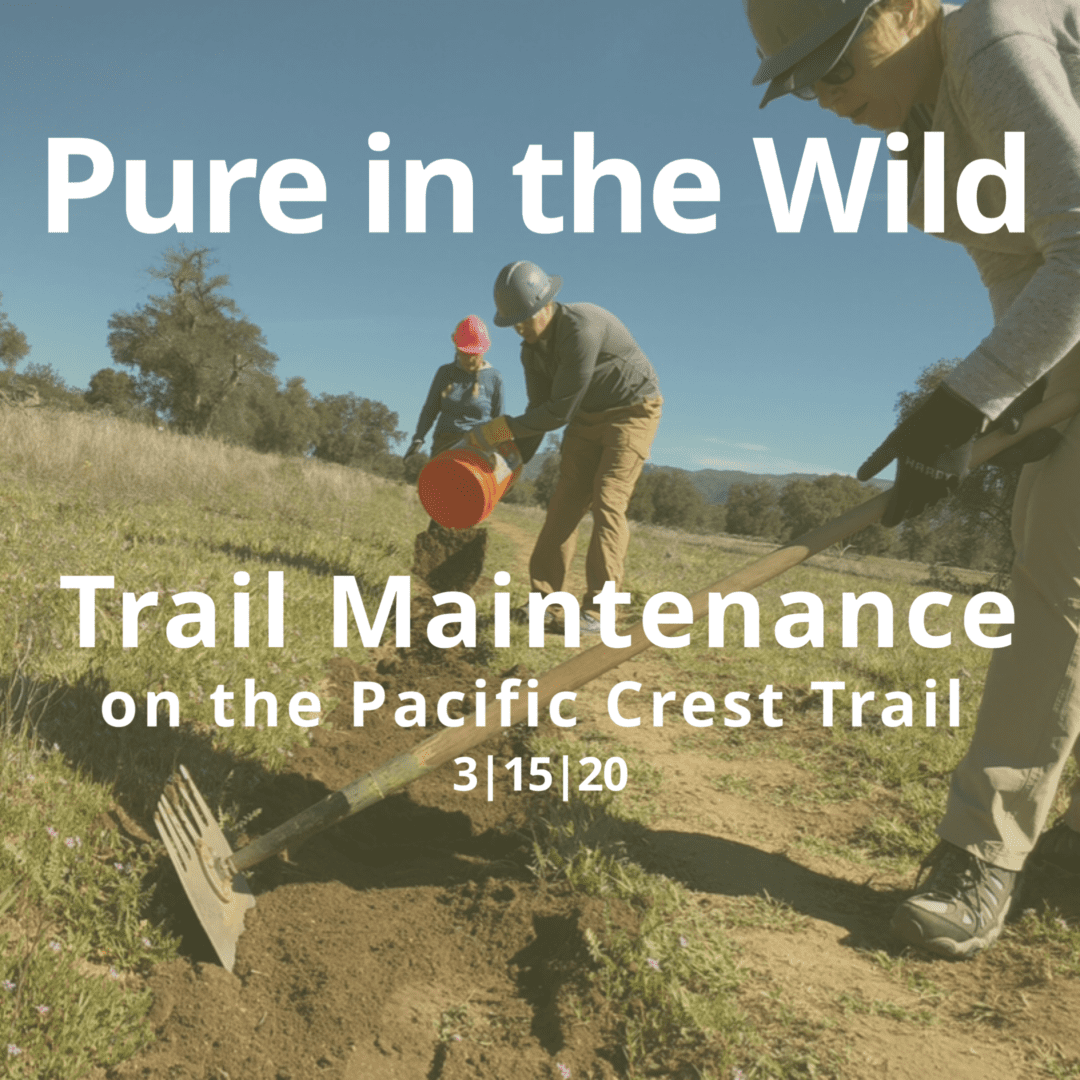 Pure in the Wild: PCT Trail Maintenance - Pure Project
