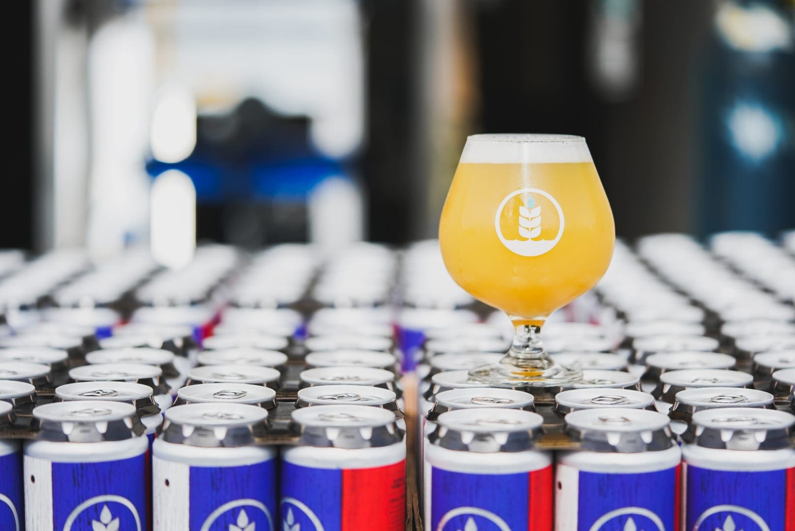 Pure Project - A special offer for our non-local friends