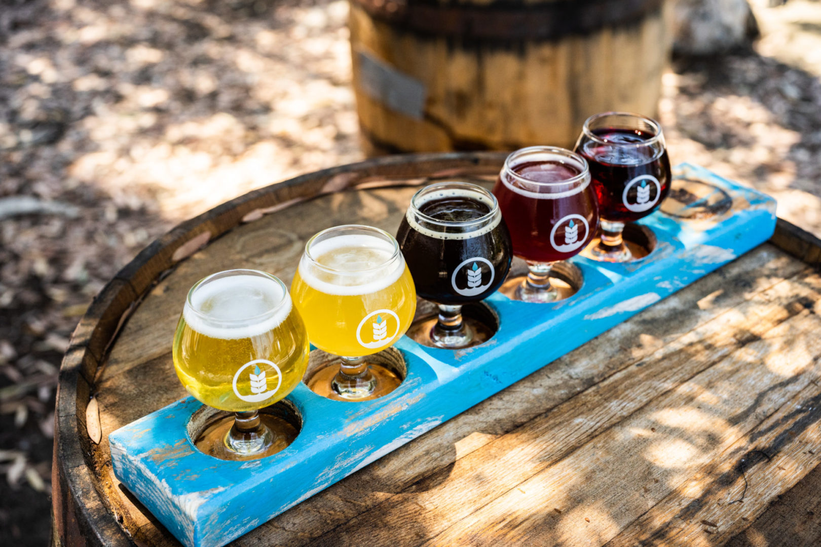 Pure Project - A special offer for new friends