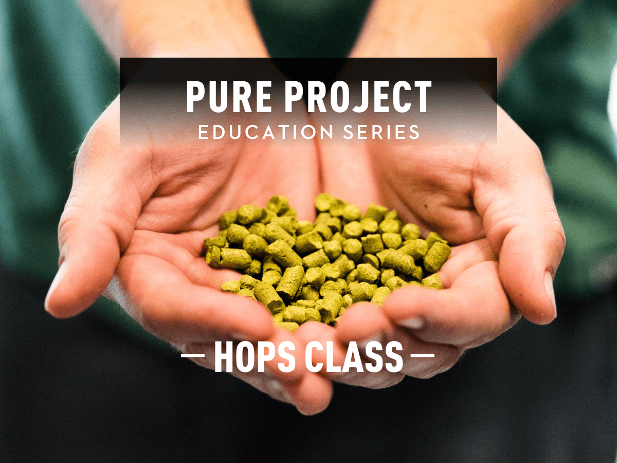Pure Project Education Series: American Hops Class with Yakima Chief ...