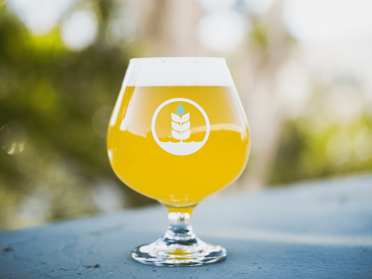 Beer Release: Pure Gravity - Pure Project