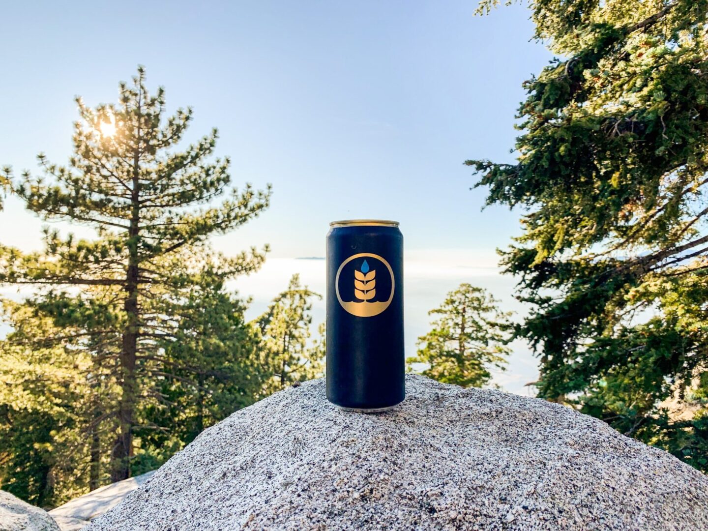 Beer for Trees: Two IPAs Benefit the National Forest Foundation