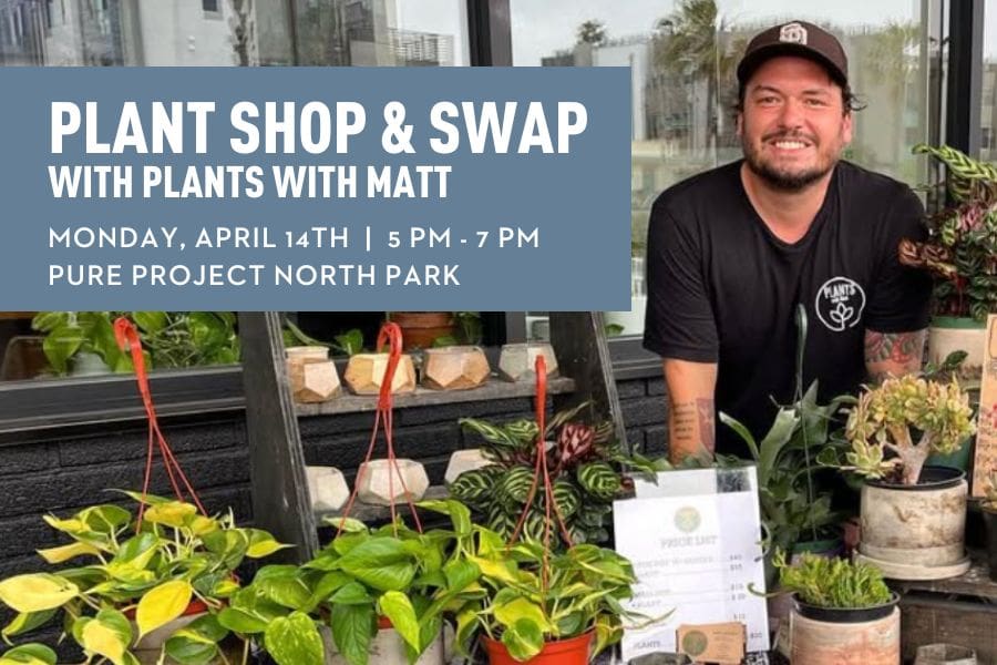 Plant Shop & Swap with Plants with Matt - Pure Project