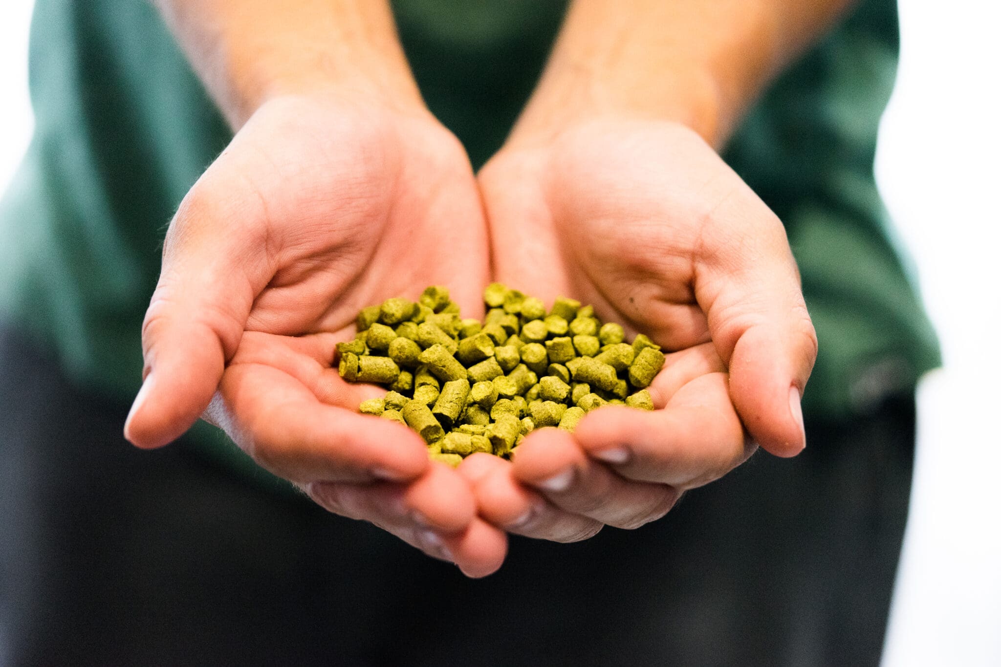 DDH Demystified: A Dive into the Hop-Heavy Trend