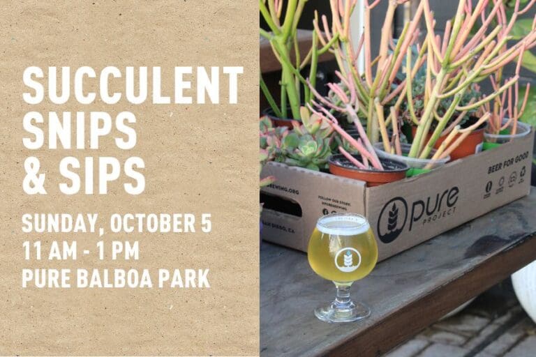 Succulent Snips & Sips with SD Climate Week - Pure Brewing